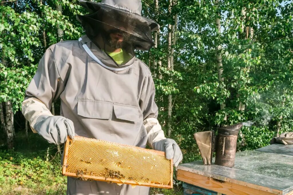 ¿Por Qué La Miel Es Mala Para Las Abejas? (La Sorprendente Verdad) | 2026