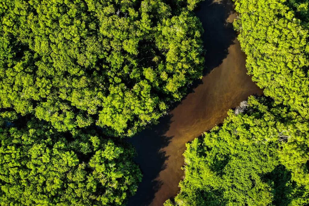 ¿Qué Es La Isla De Las Serpientes? (Explicado) | 2025