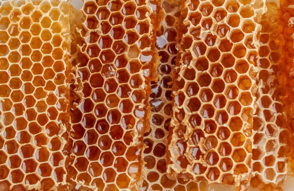 Los Beneficios De Comer Panal Explicados | 2026